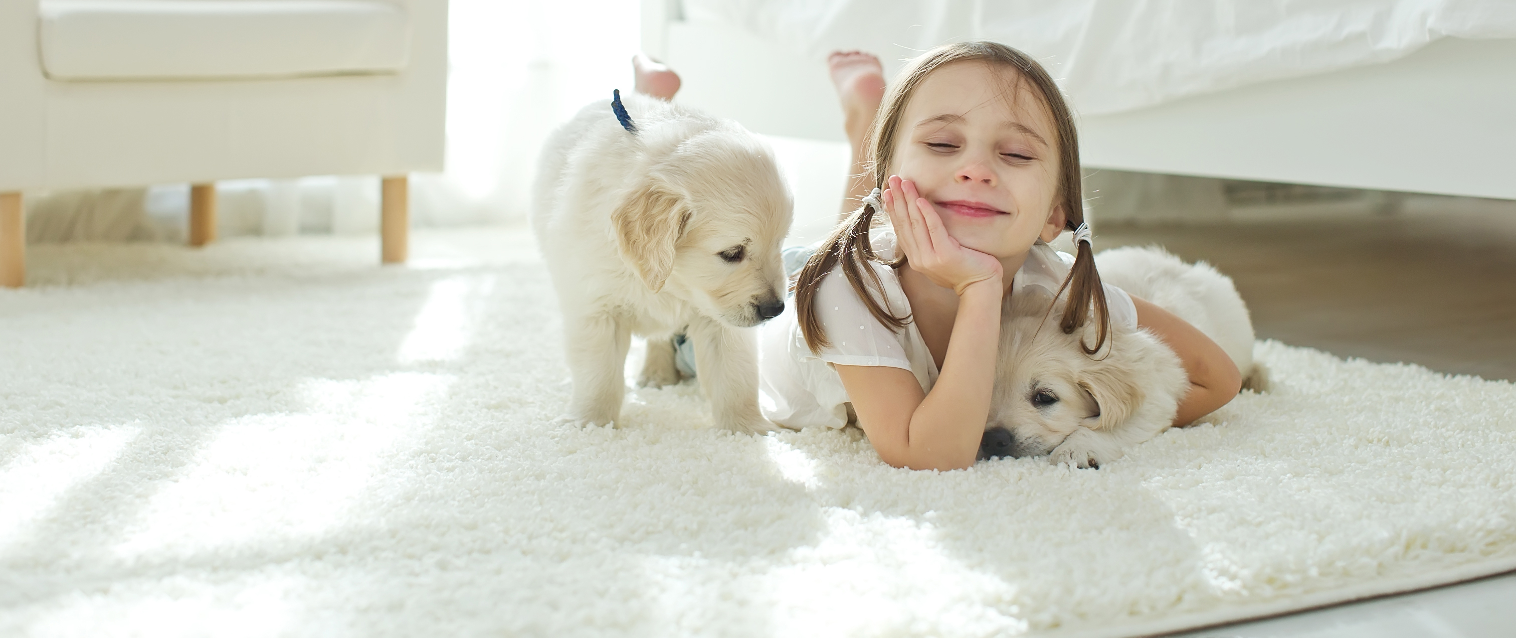 10 Common Carpet Stains & How to Remove Them